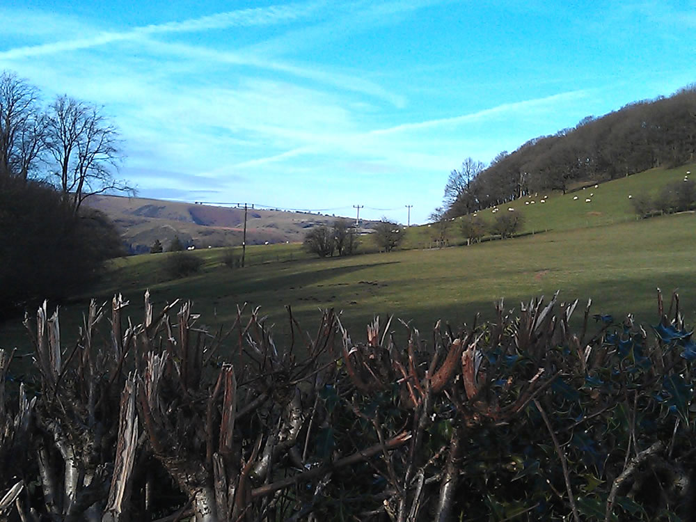 This is what is at risk – Church Stretton Housing Plans